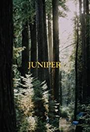 Juniper Film 2021 — Sinopsis, Ulasan, Pemain & Tanggal Rilis